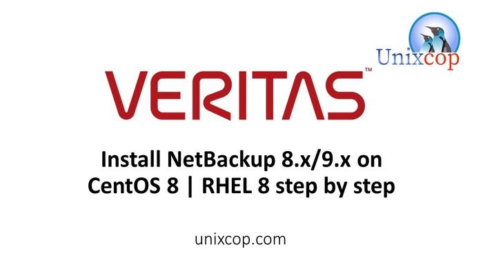 Install NetBackup 8.x/9.x on CentOS 8 or RHEL 8 Single Node