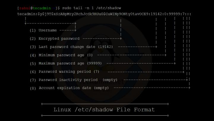 Understanding the /etc/shadow File in Linux